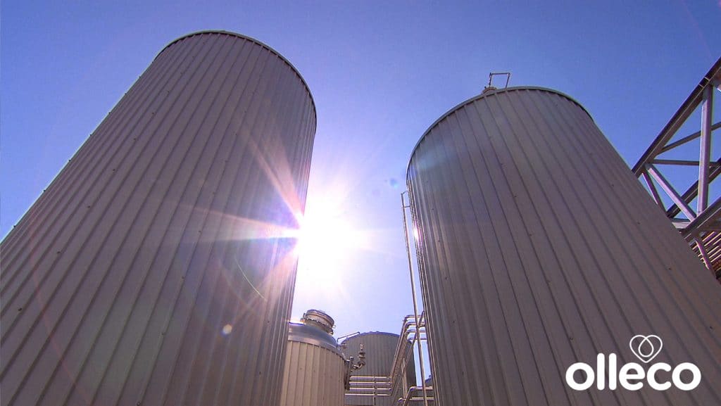 Olleco - letsrecycle.com