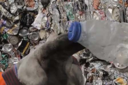 Video highlights recycling contamination ‘challenge’