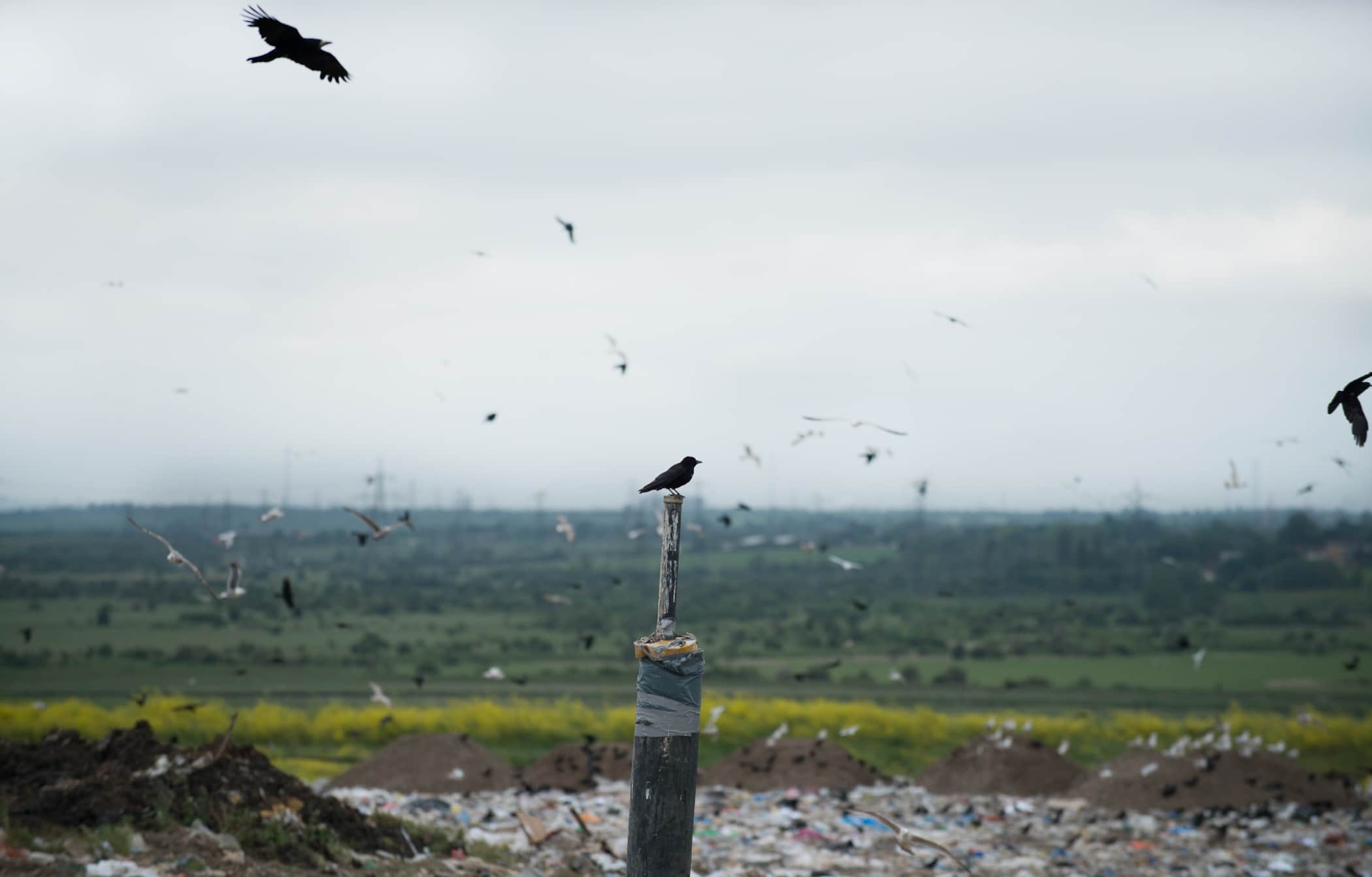 News in Brief (06/06/2016) - letsrecycle.com