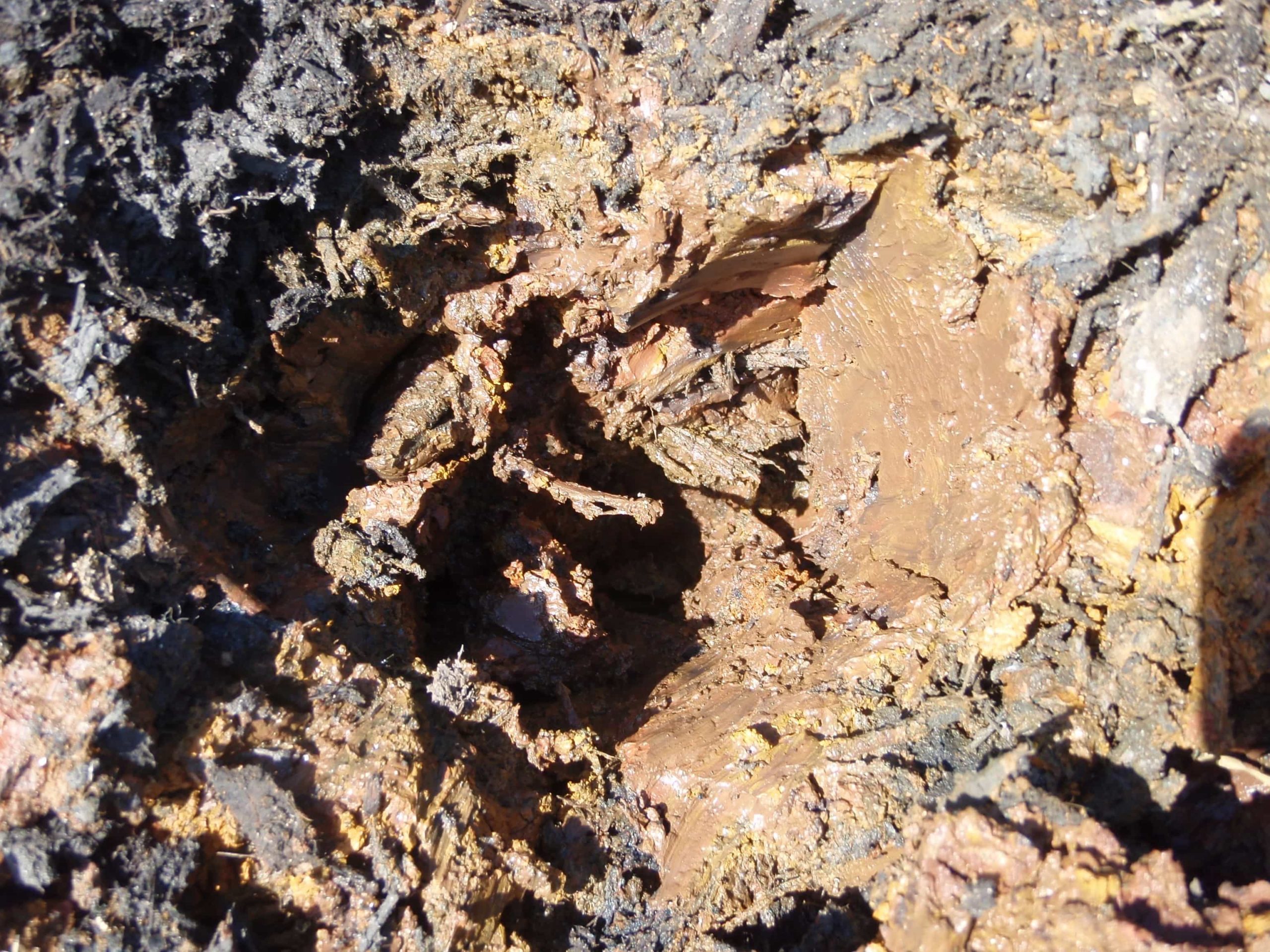 Firms fined for mixing waste with compost - letsrecycle.com