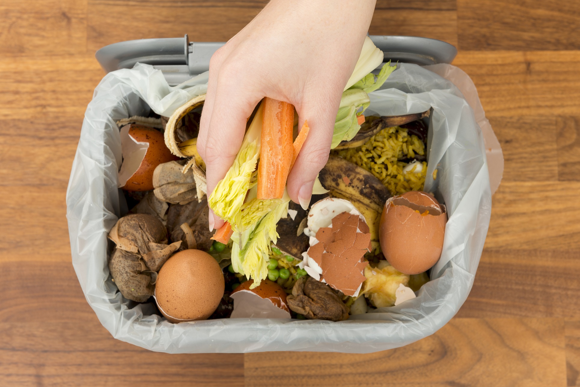 Reading rolls out food waste service - letsrecycle.com