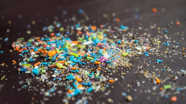 UK scientists lead study on risks to human health from microplastics ...