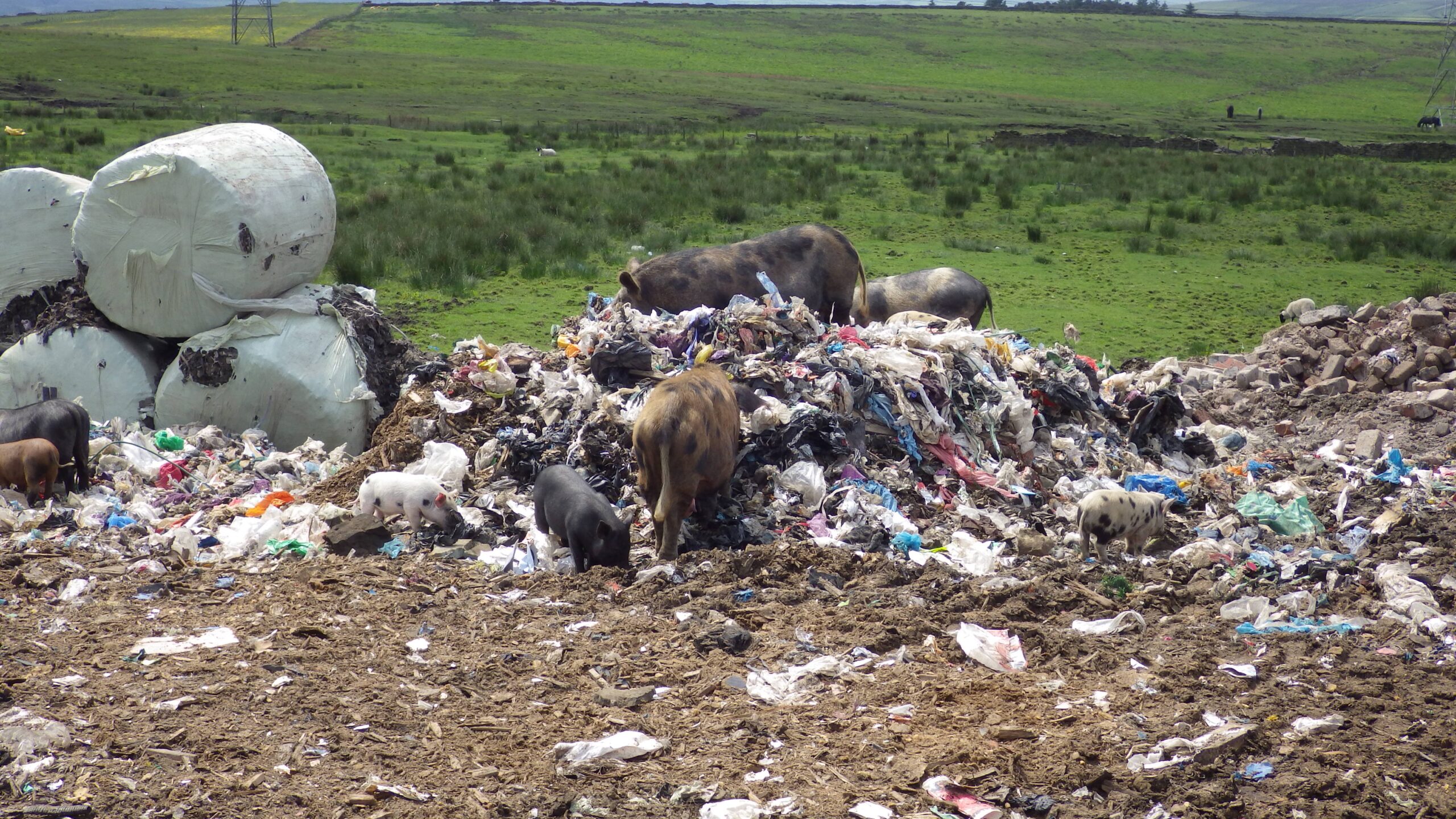 Three convicted of waste crime across 14 sites - letsrecycle.com