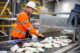 Biffa report: UK could recycle all plastic packaging onshore by 2030 ...